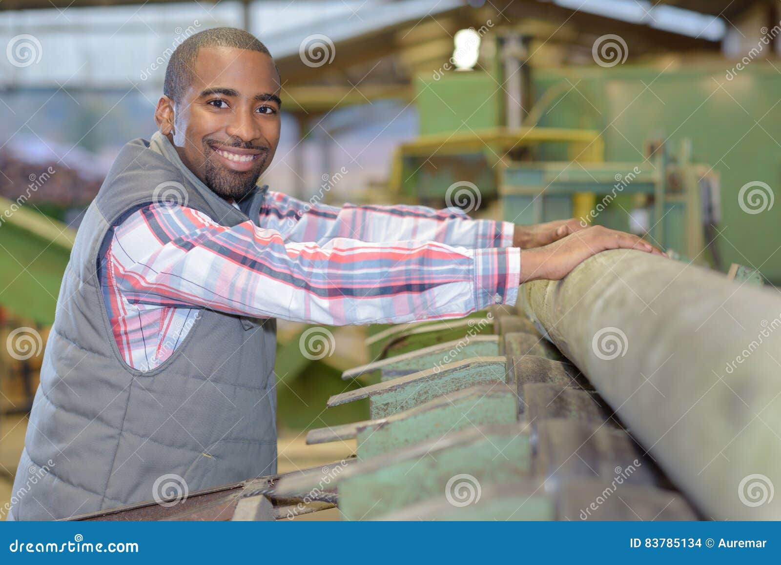Portrait Man Working in Sawmill Stock Photo - Image of working ...