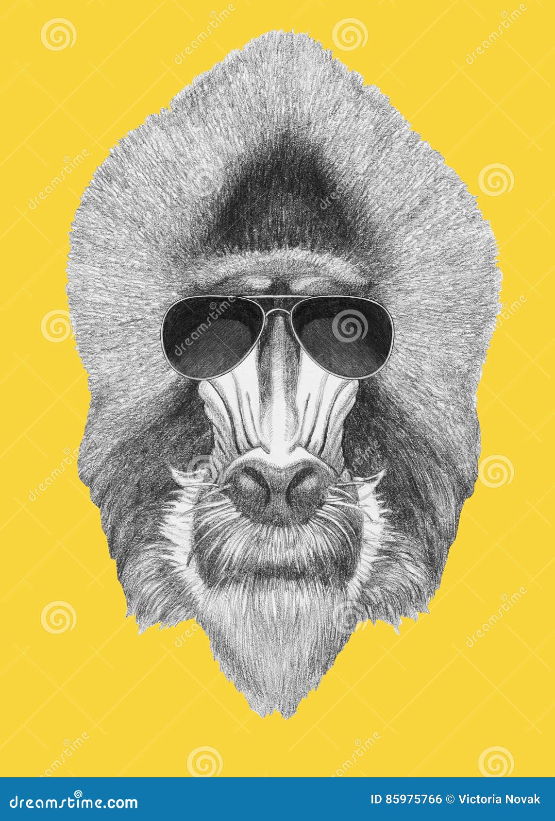 Portrait of Mandrill with Sunglasses. Stock Illustration - Illustration ...
