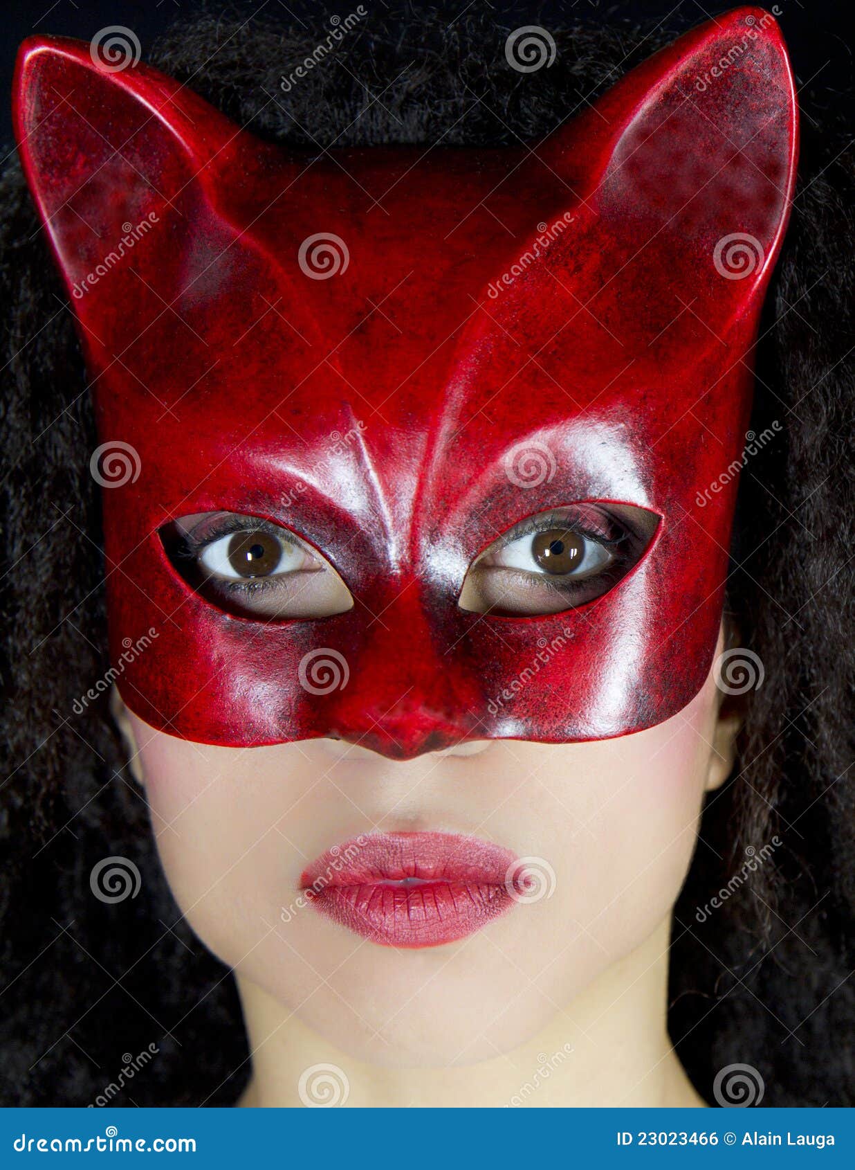Portrait of a Masked Woman. Stock Photo - Image of disguised, fantasy ...