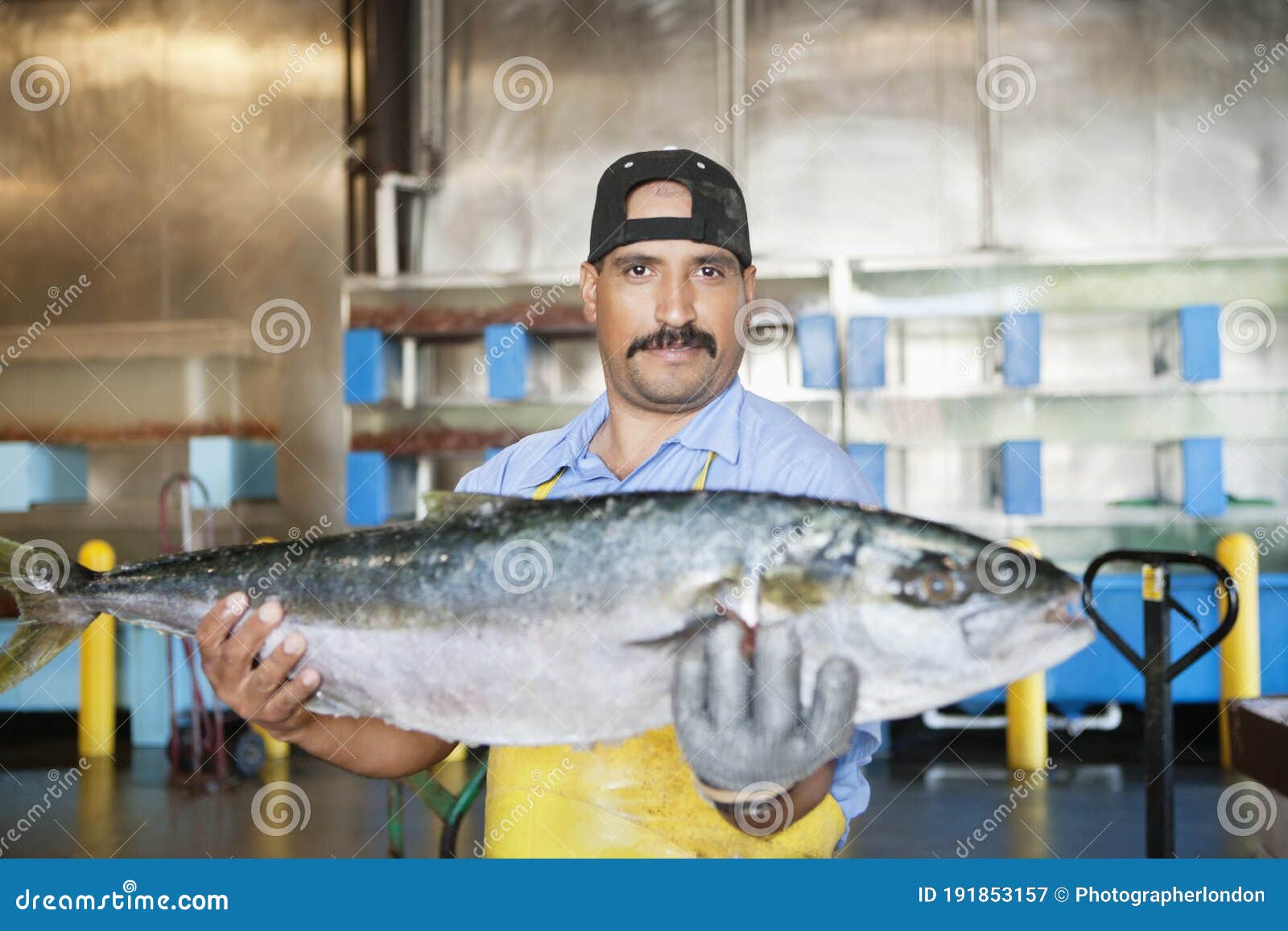 Portrait of Mature Fishmonger Holding Salmon Fish Stock Image - Image ... Portrait of Mature Fishmonger Holding Salmon Fish Stock Image - Image ...
