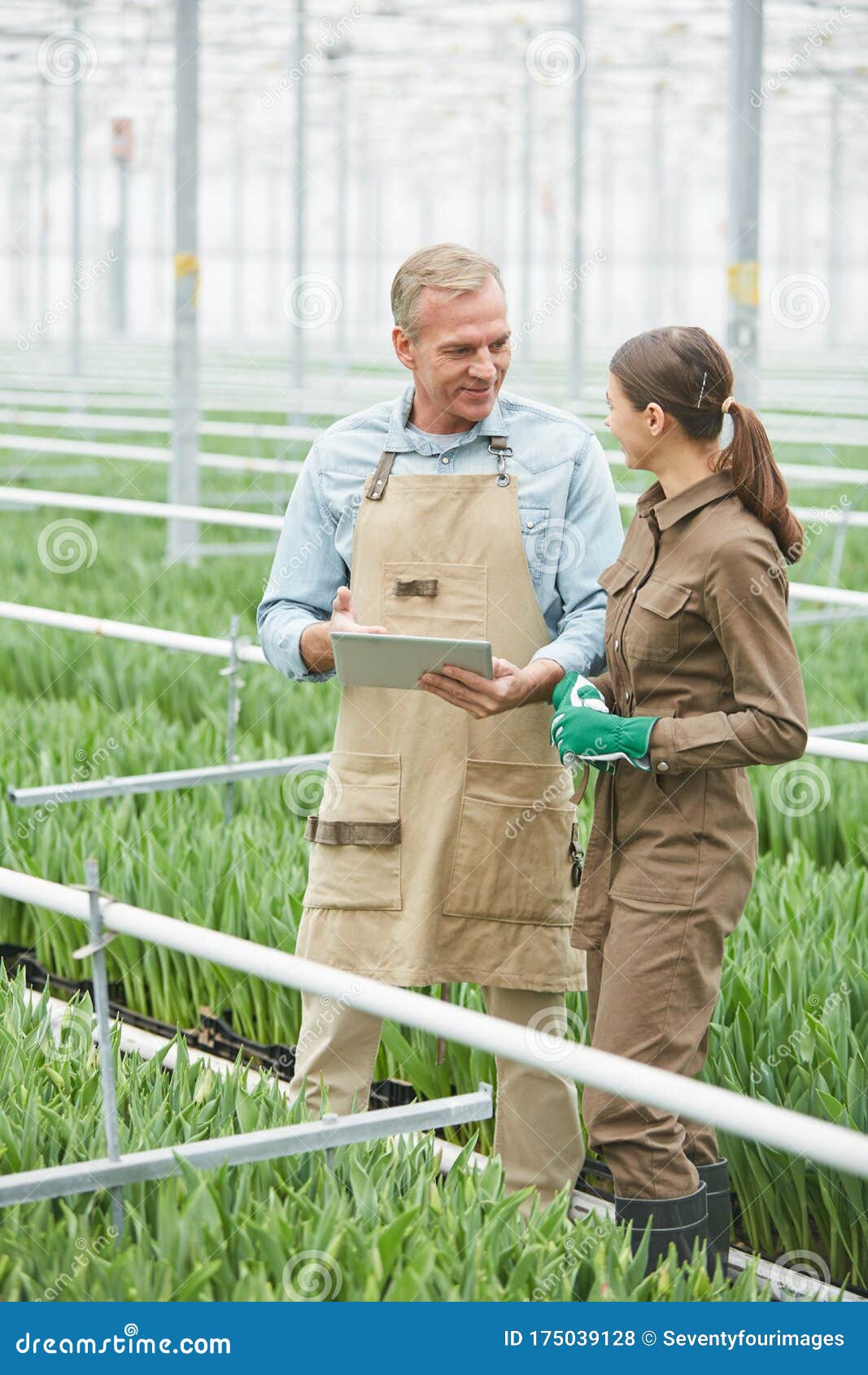 Workers in Modern Plantation Stock Photo - Image of sustainable, farmer ...