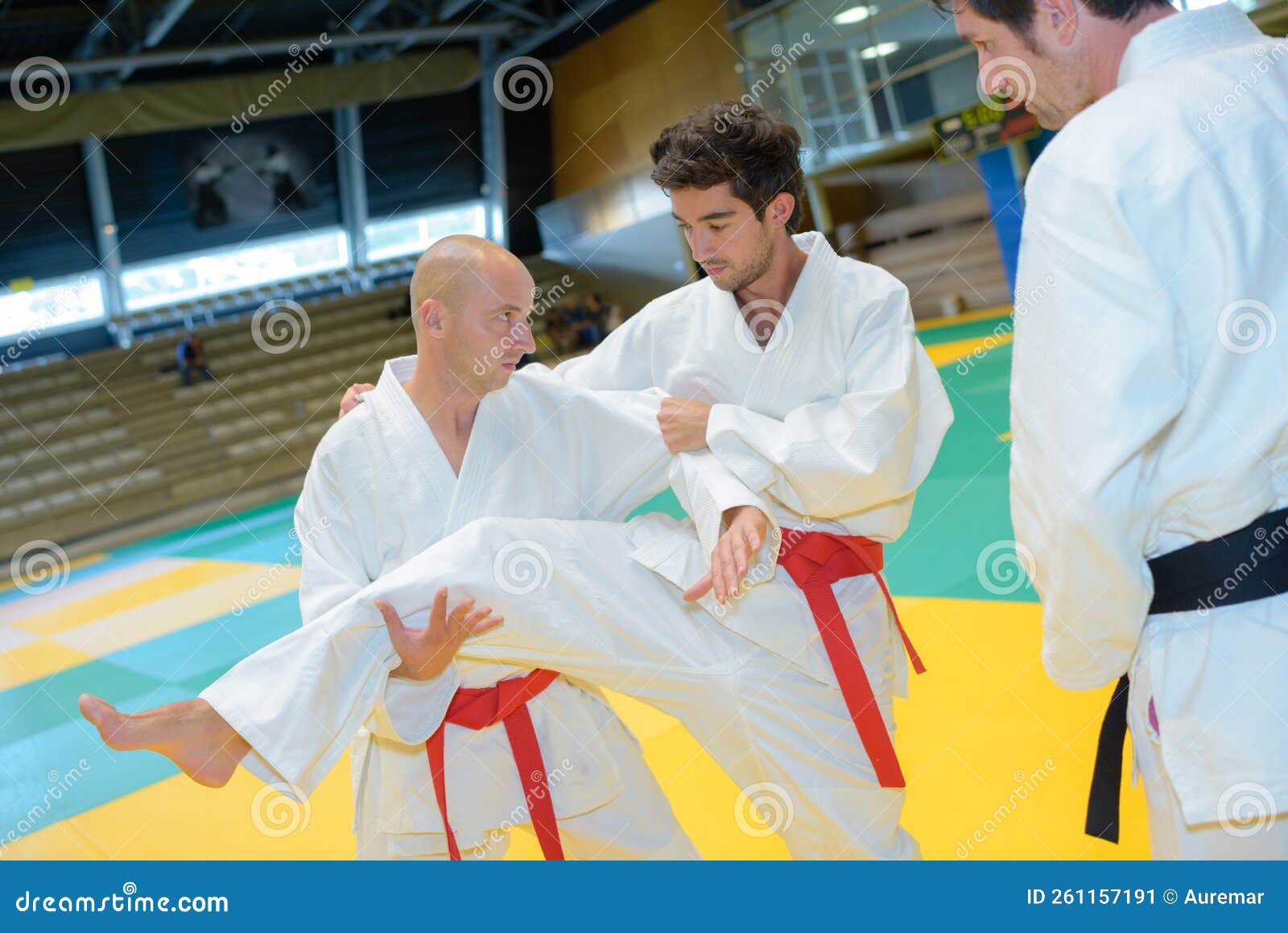 Portrait Men Practicing Judo Stock Image - Image of aikido, dojo: 261157191