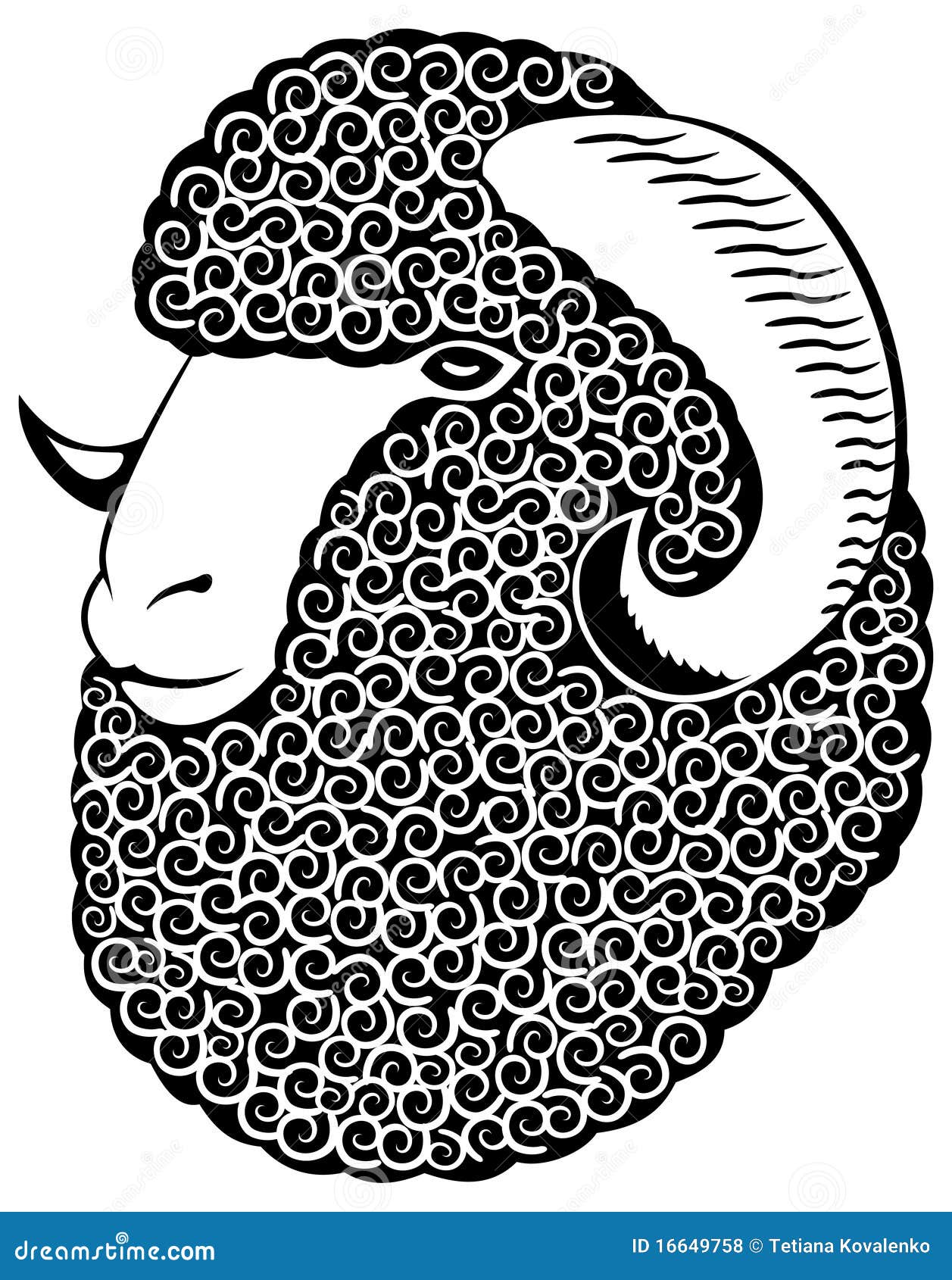 Portrait of a Merino Sheep. Stock Vector - Illustration of portrait ...