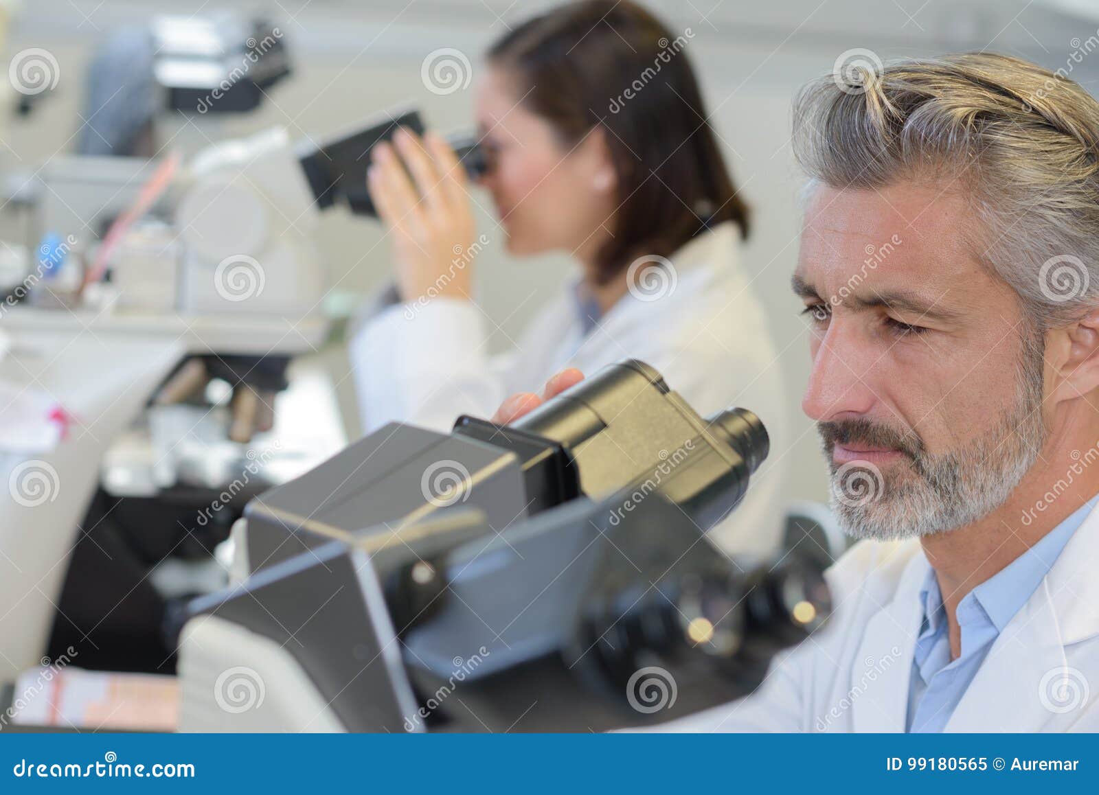 Portrait Mid Adult Male Scientist Using Microscope In Laboratory Stock