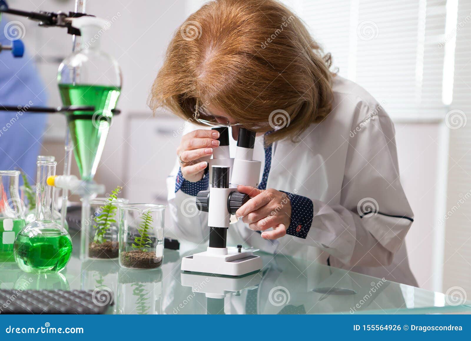 Portrait of Middle Age Female Biotechnology Scientist Working on ...