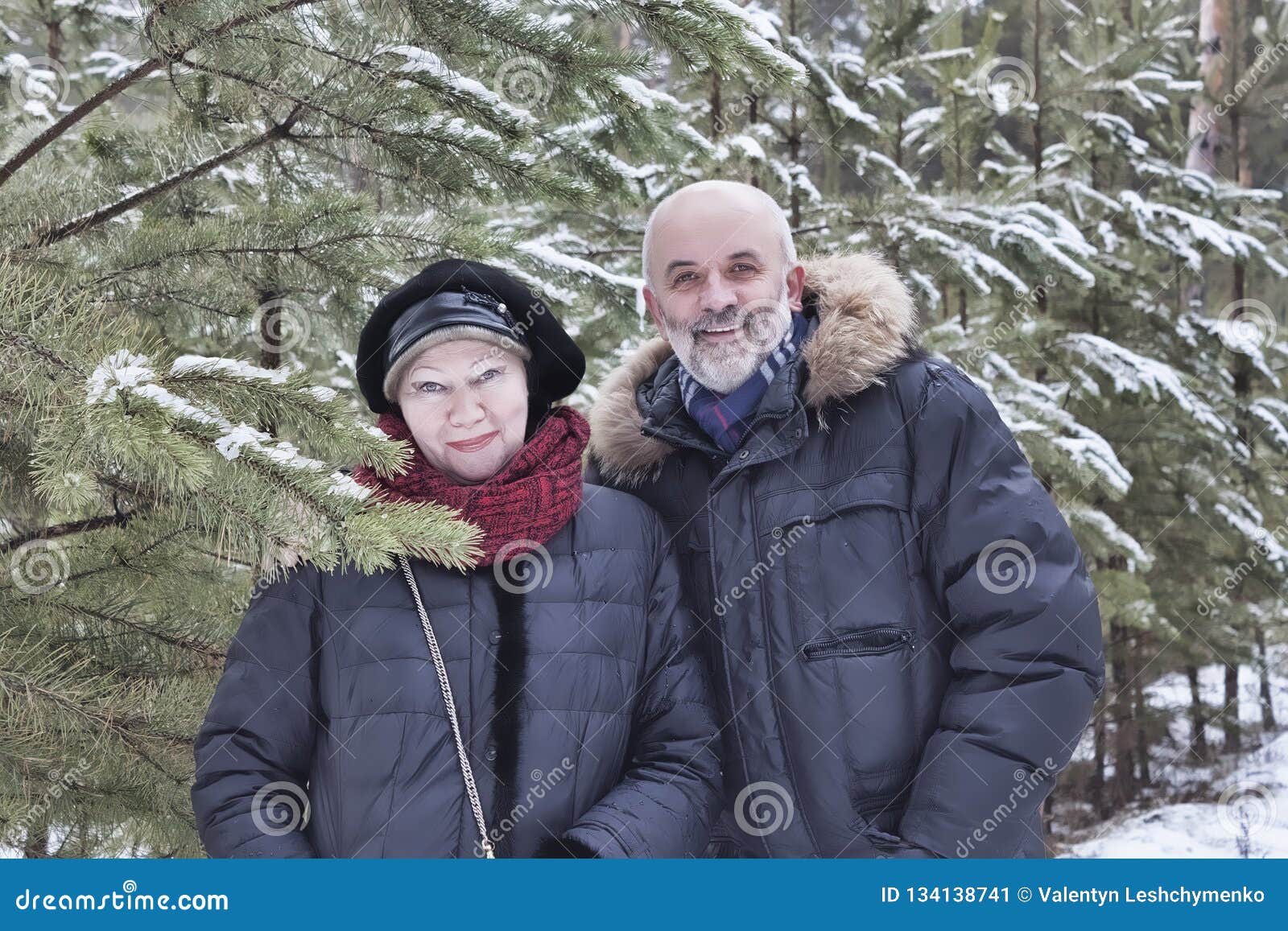 Portrait of Middle-aged Couples among the Branches of Young Pine Trees ...