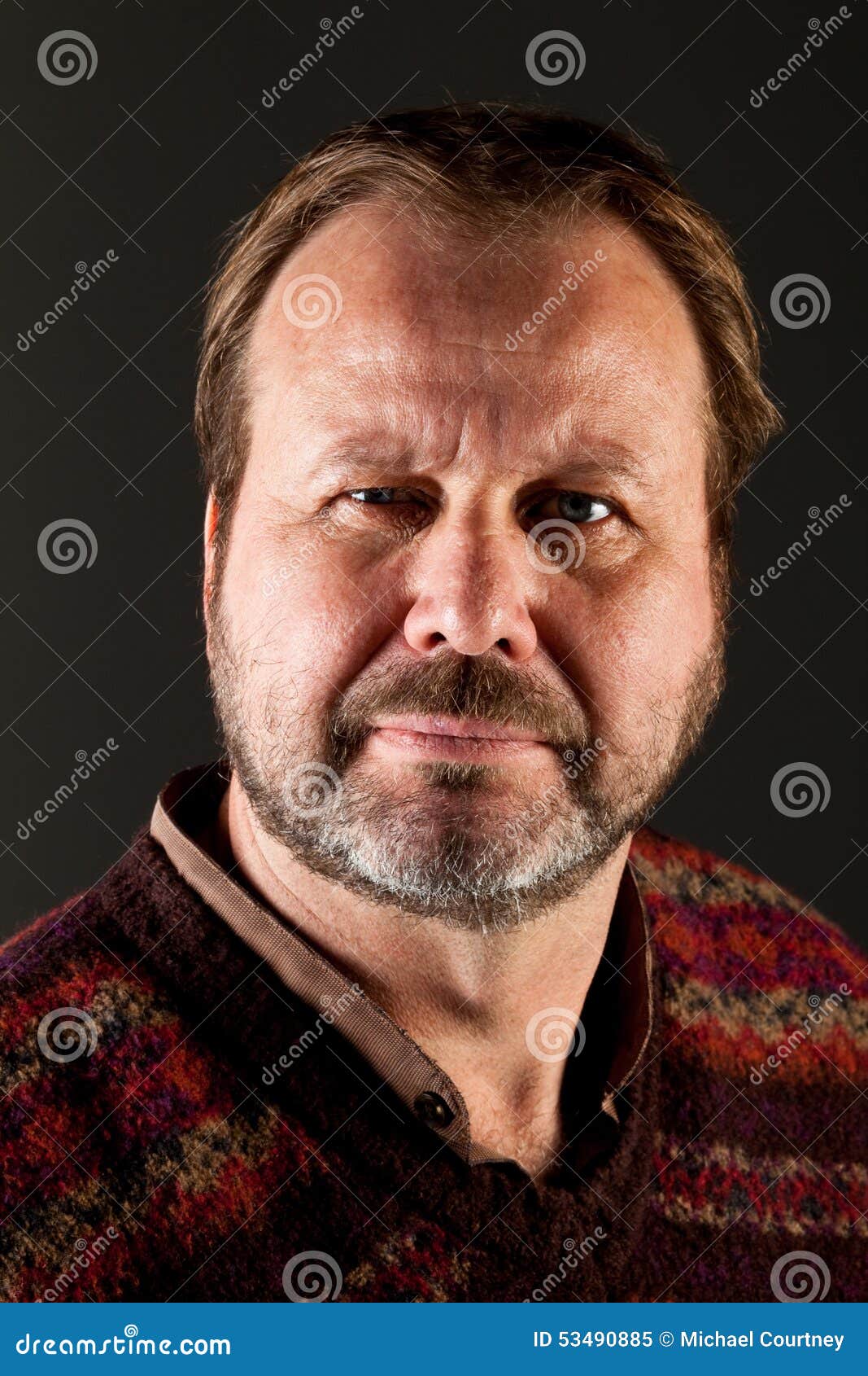 Portrait of a Middle Aged Man with a Beard. Stock Image - Image of ...