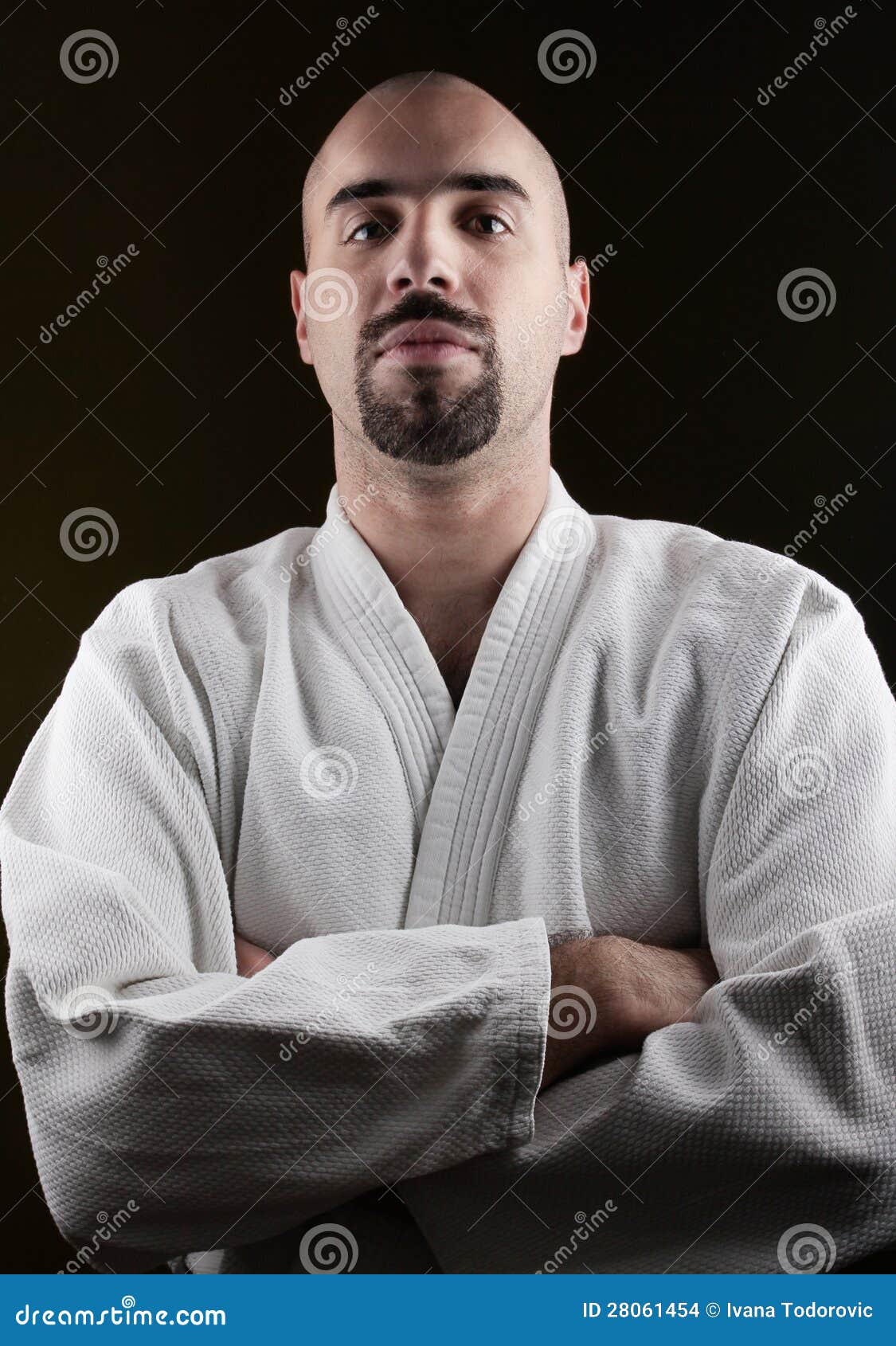 Portrait of MMA master stock photo. Image of peaceful - 28061454