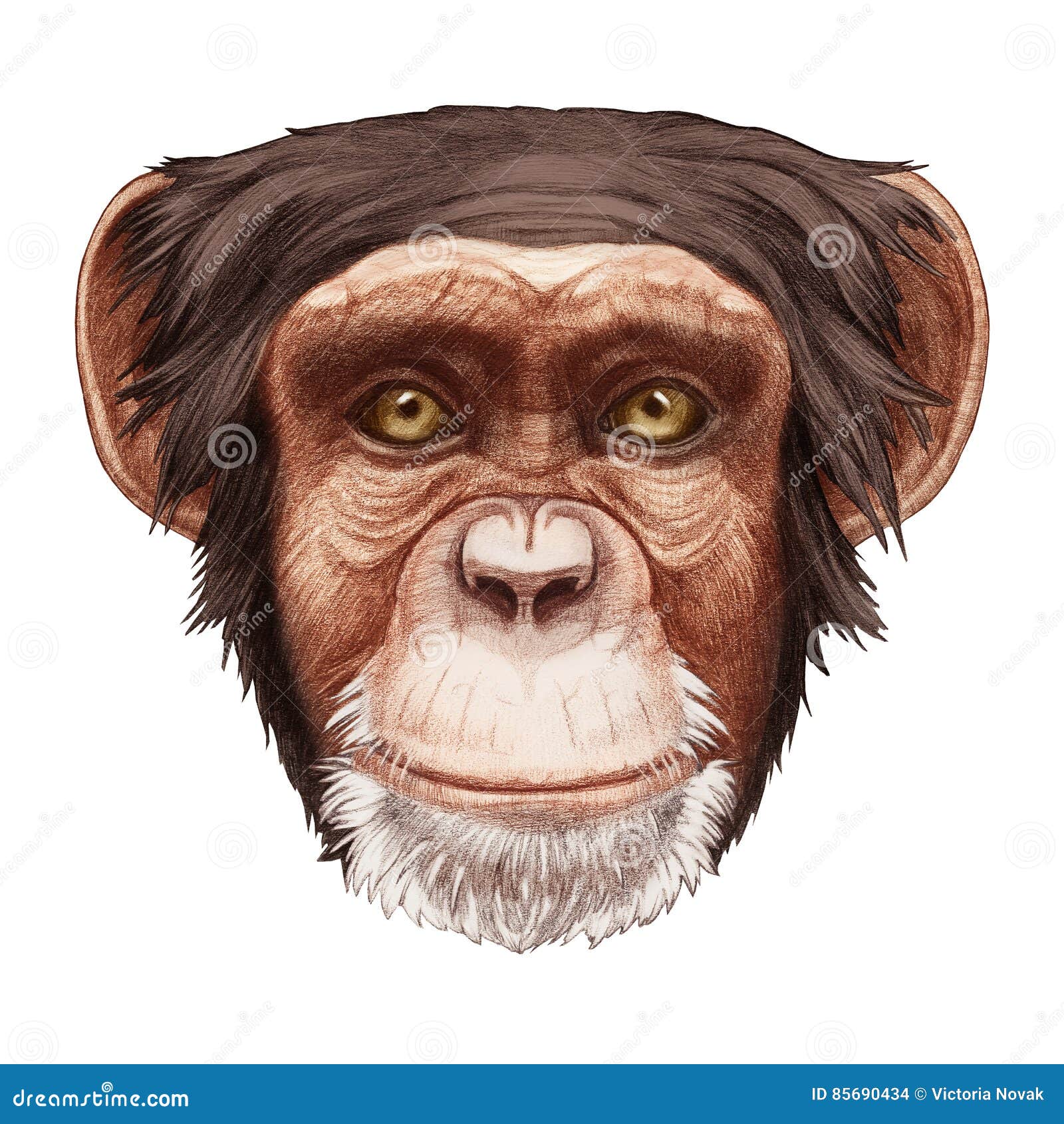 Portrait of Monkey. stock illustration. Illustration of party - 85690434