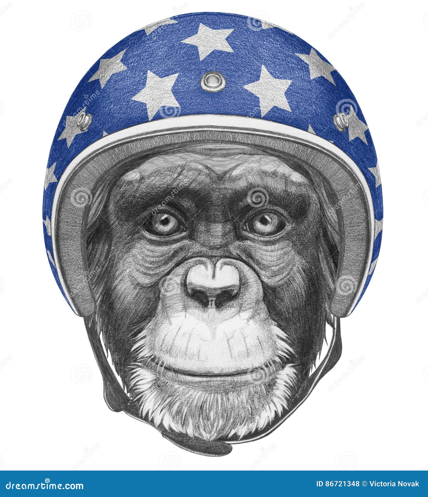 Portrait of Monkey with Helmet. Stock Illustration - Illustration of ...