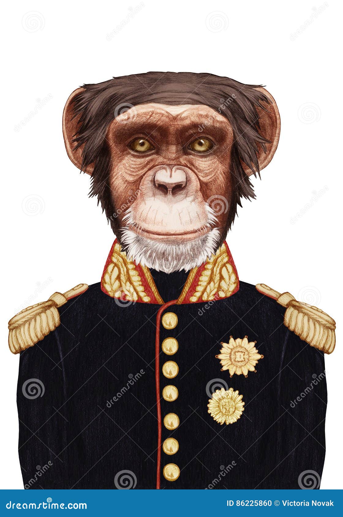 Portrait of Monkey in Military Uniform. Stock Illustration ...