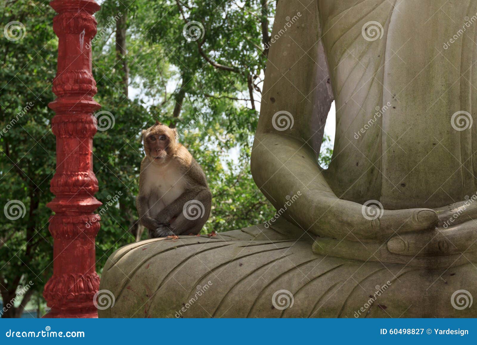 Portrait of Monkey Sitting on Statue of Buddha Stock Image - Image of ...