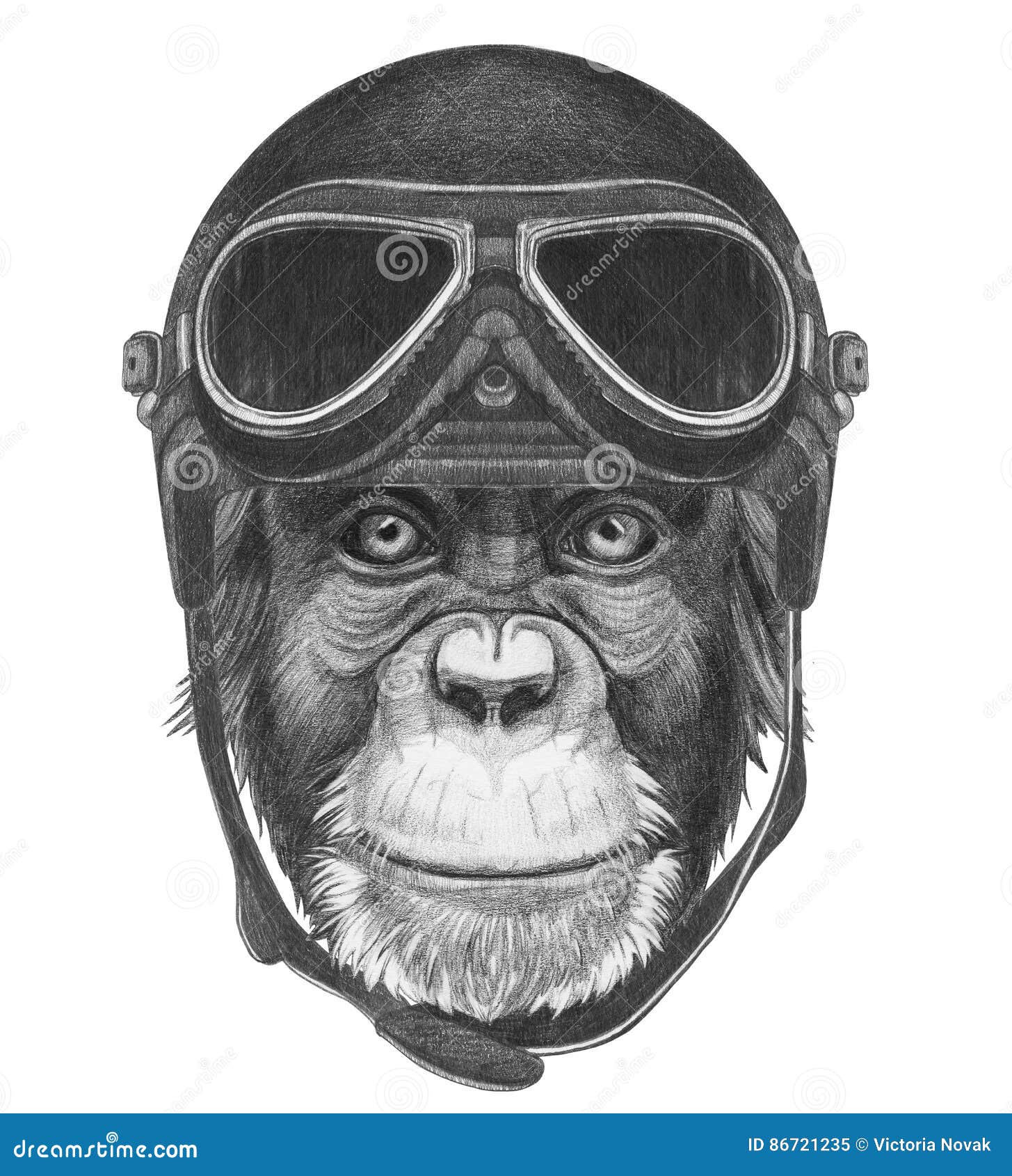 Portrait of Monkey with Vintage Helmet. Stock Illustration ...