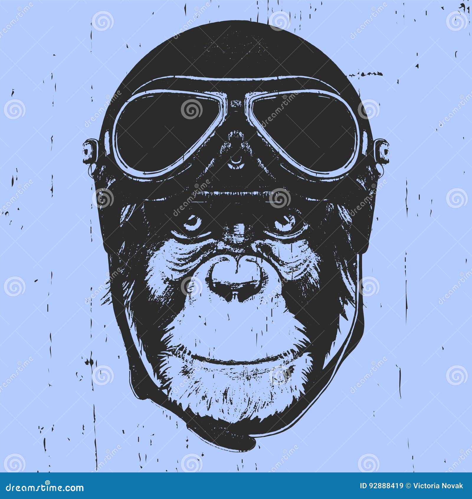 Portrait of Monkey with Vintage Helmet. Stock Vector - Illustration of ...