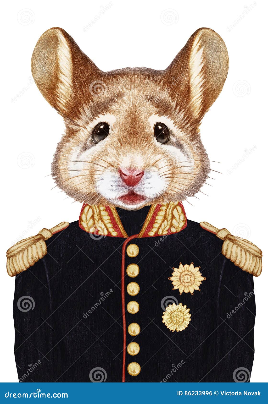 Portrait of Mouse in Military Uniform. Stock Illustration ...