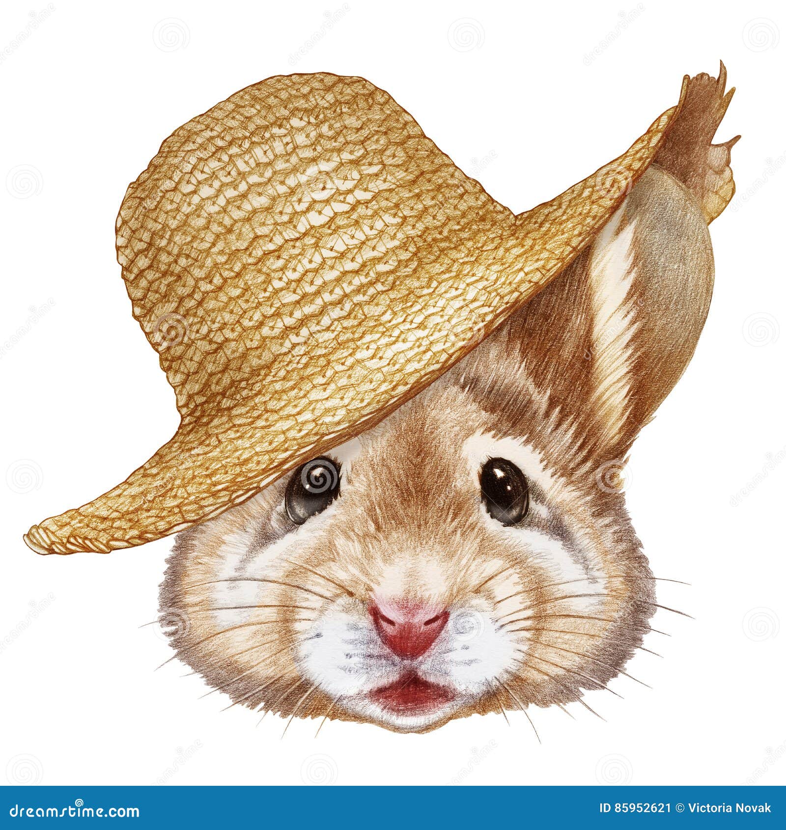 Portrait of Mouse with Straw Hat. Stock Illustration - Illustration of ... Portrait of Mouse with Straw Hat. Stock Illustration - Illustration of ...