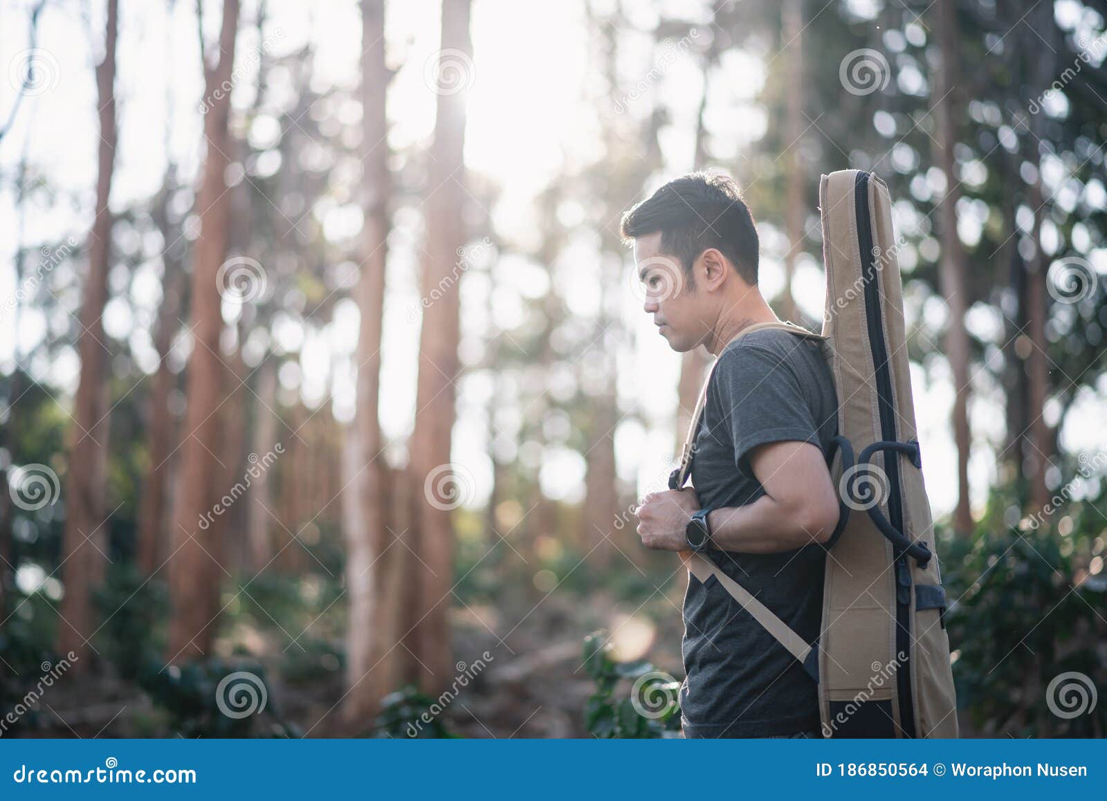 Portrait Musician Man with Guitar at the Forrest Stock Photo - Image of ...