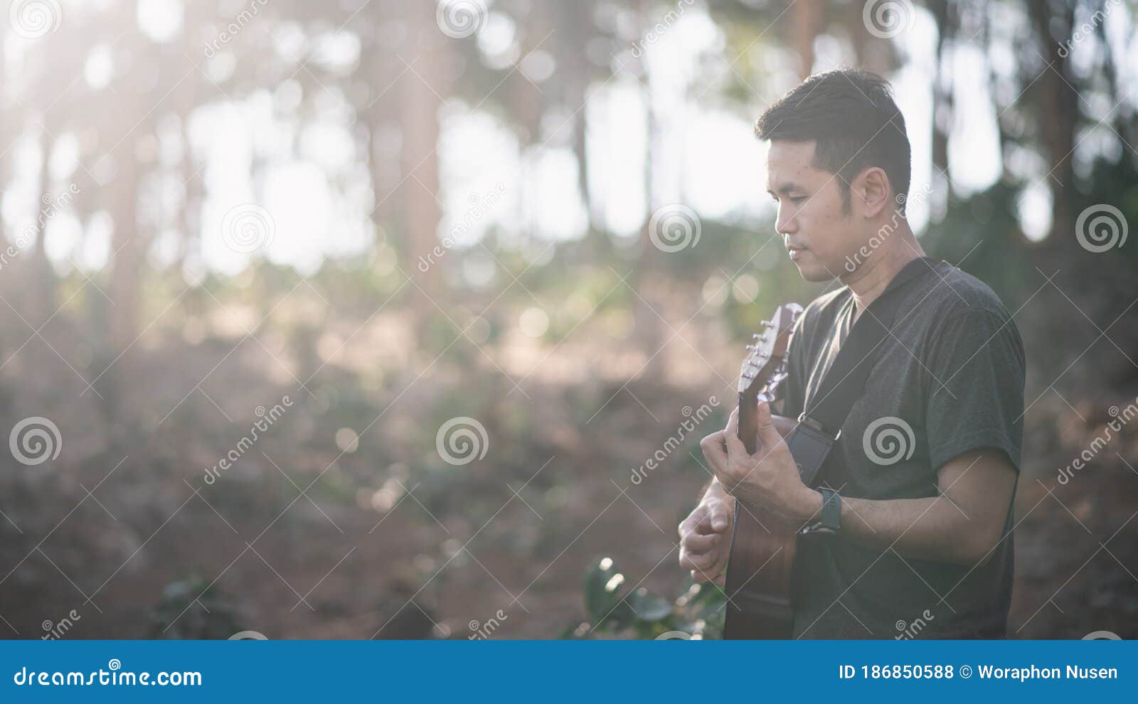 Portrait Musician Man with Guitar at the Forrest Stock Photo - Image of ...