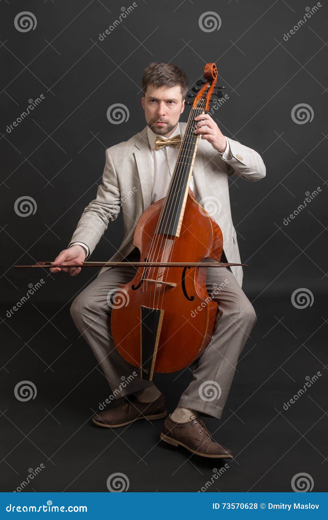 Portrait of a musician stock photo. Image of viola, studio - 73570628