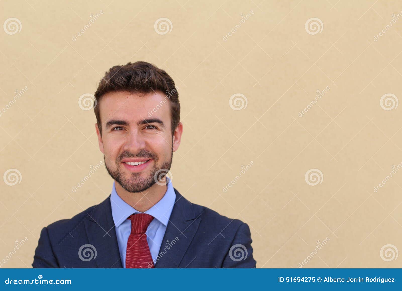 Portrait of a Natural Handsome Classic Male Stock Image - Image of face ...