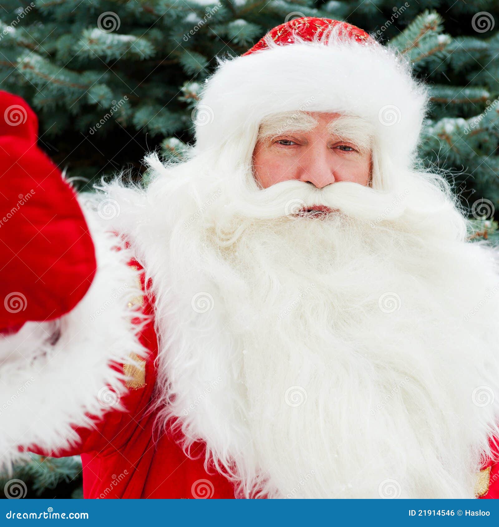 Portrait of Natural Santa Claus Stock Photo - Image of presenting ...