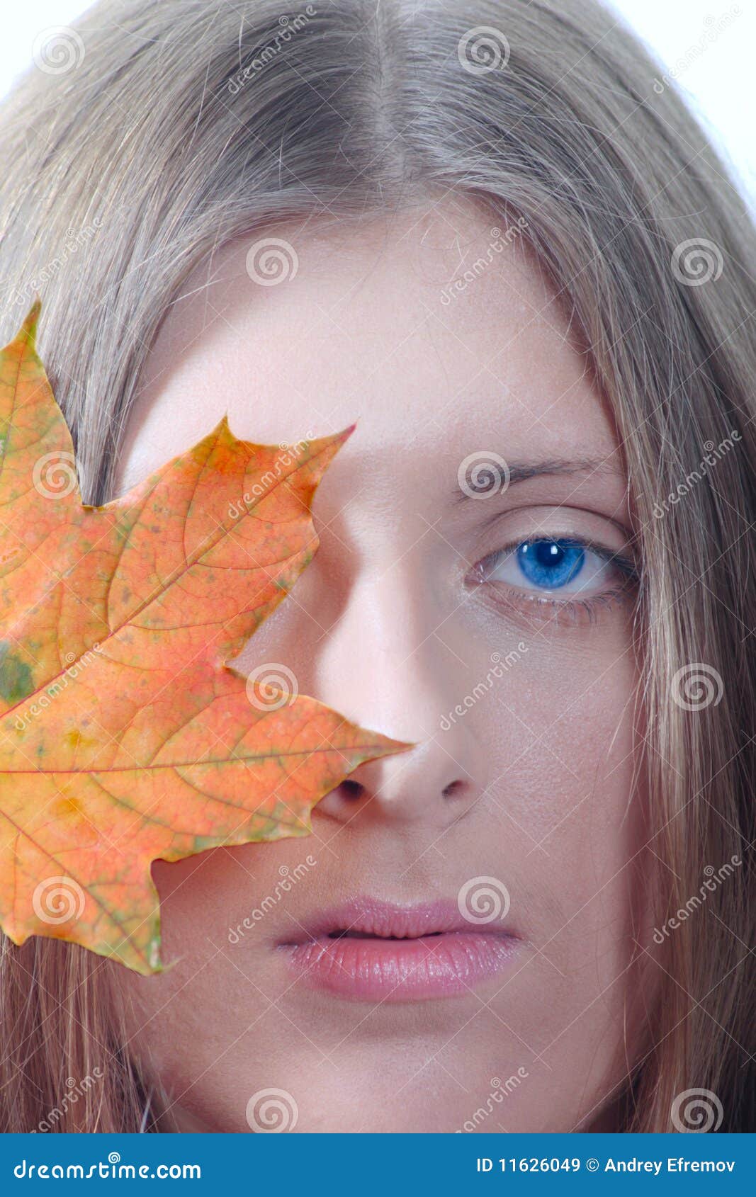 Portrait of the Nice Girl with a Maple Leaf Stock Image - Image of ...