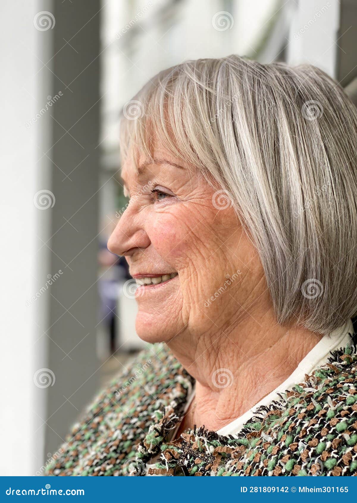 Portrait of a old lady stock photo. Image of hair, looking - 281809142