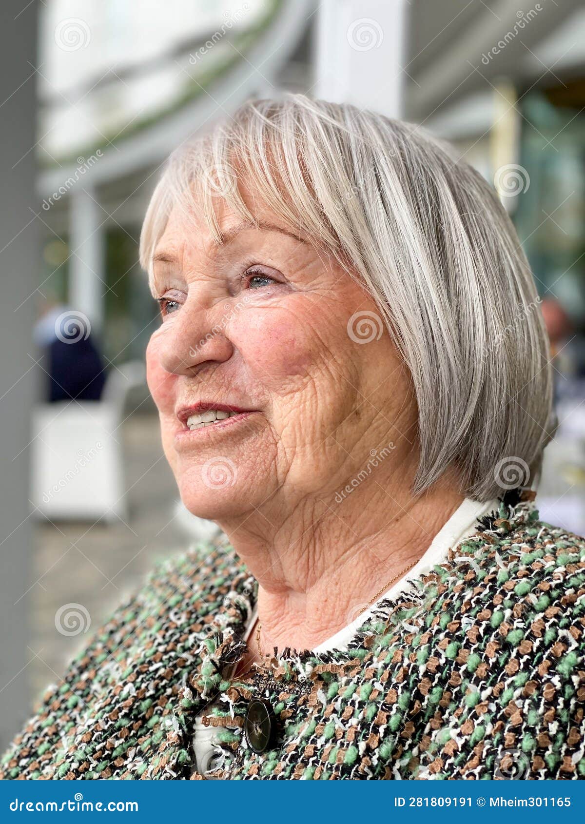 Portrait of a old lady stock image. Image of lady, side - 281809191