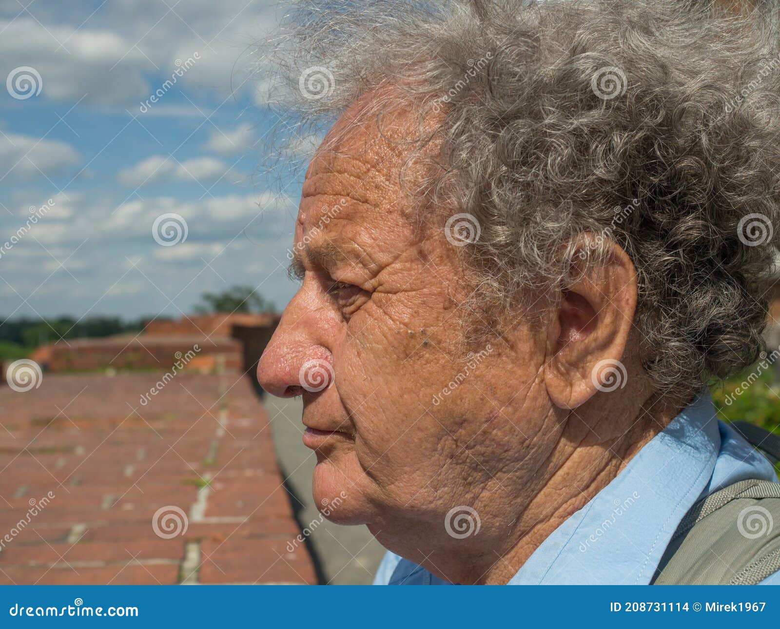 Portrait of old white man stock photo. Image of male - 208731114