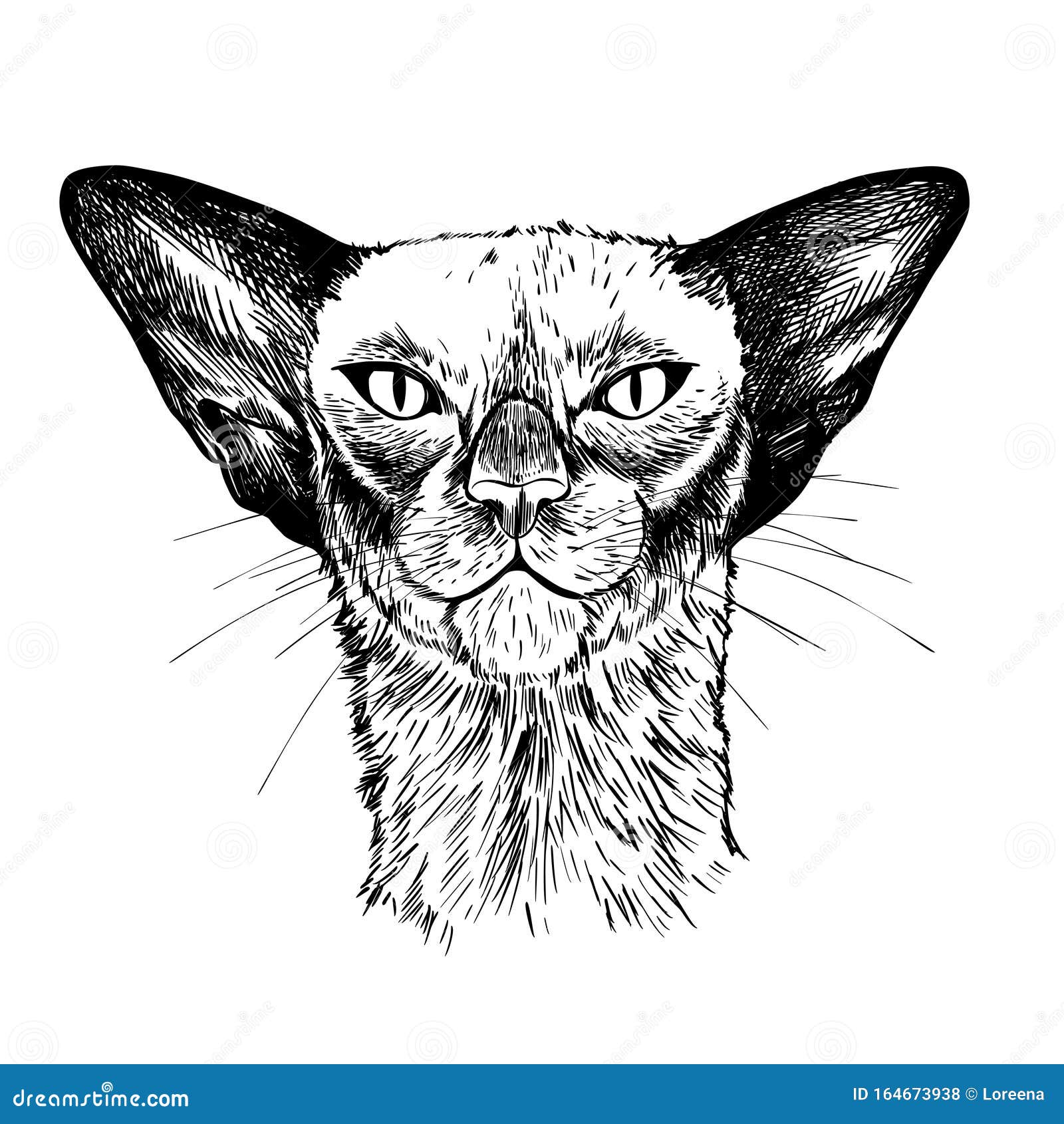 Portrait of the Oriental Cat, Hand Drawn Vector Stock Vector ...