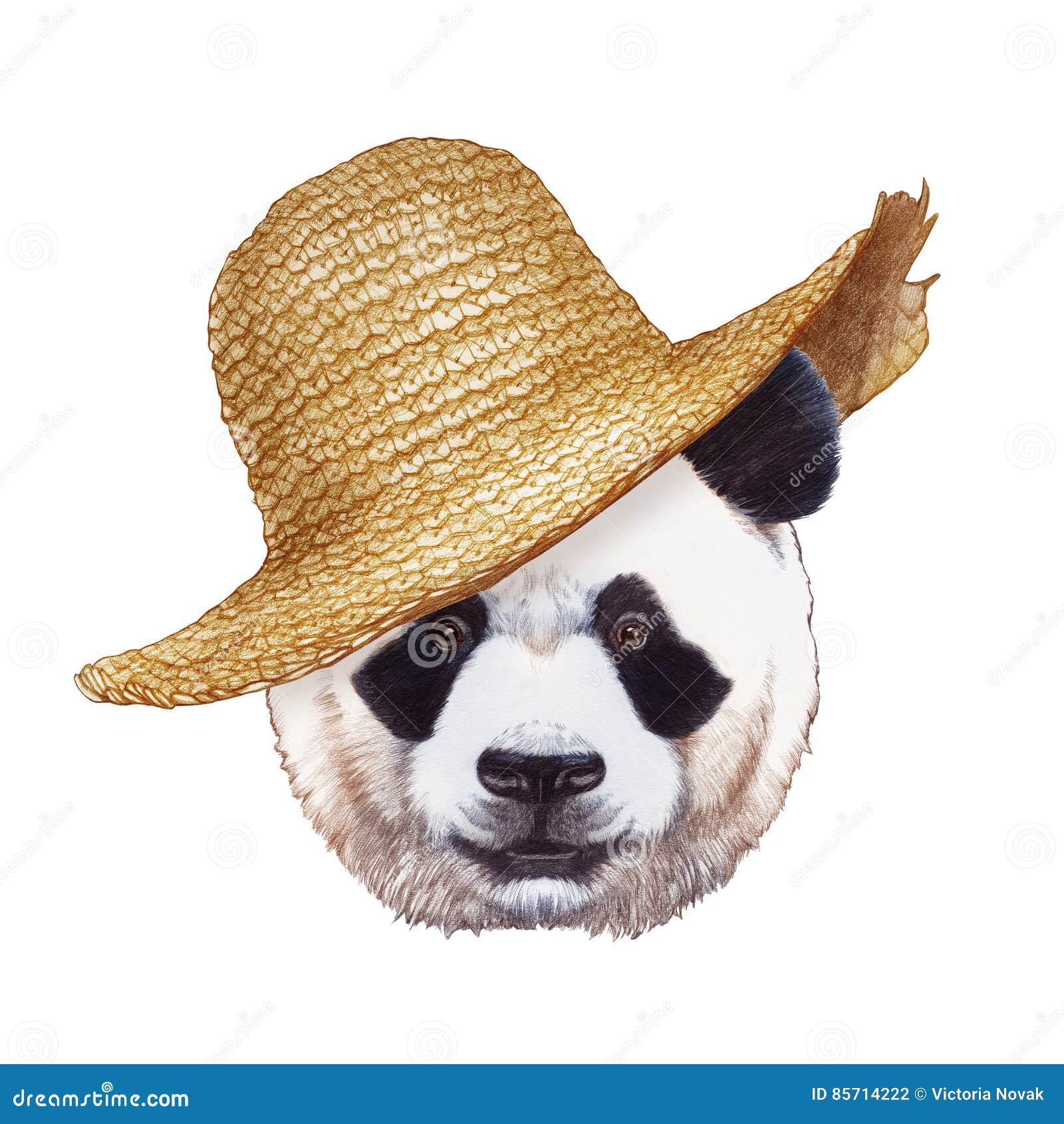 Portrait of Panda with Straw Hat. Stock Illustration - Illustration of ...