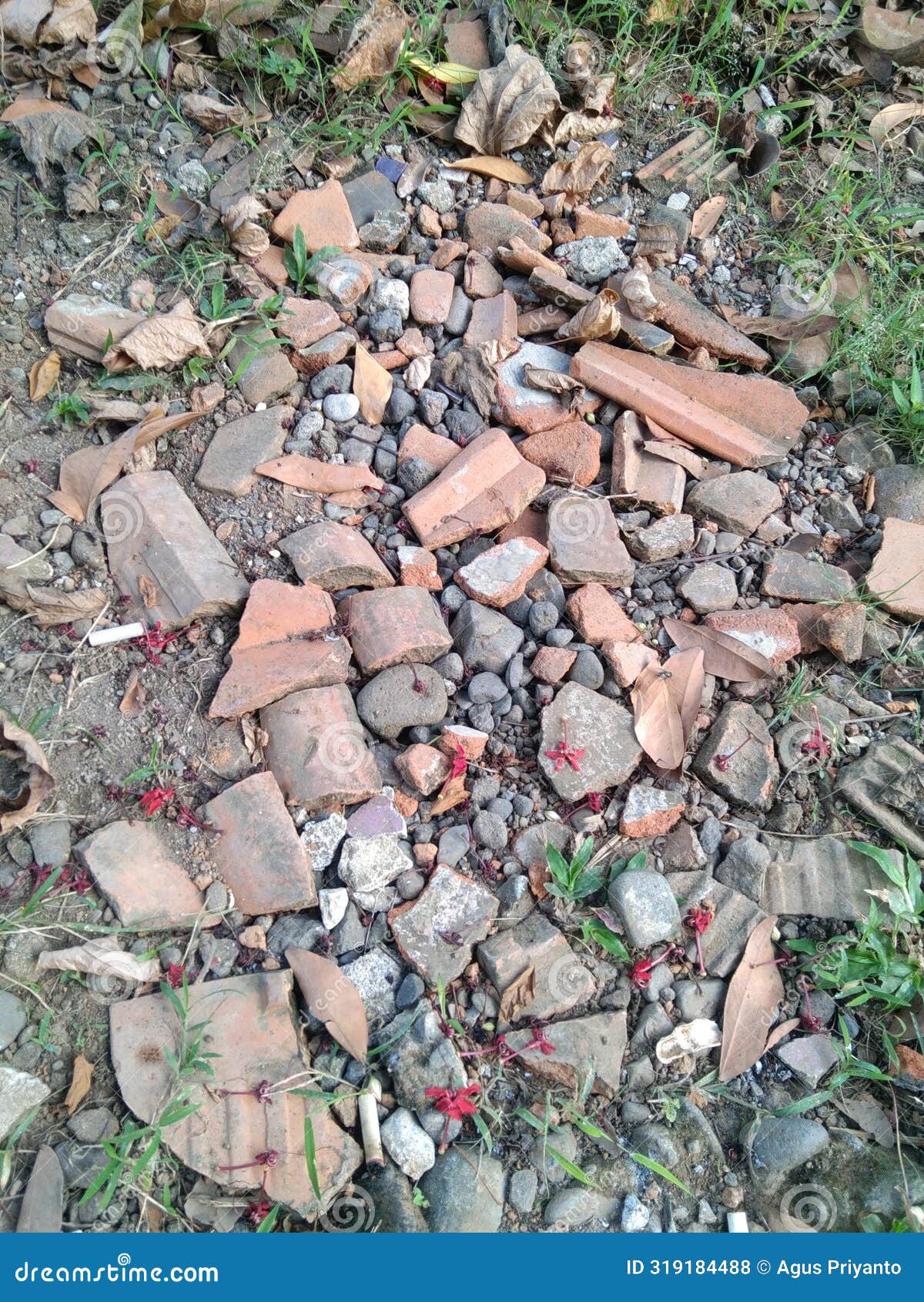 Portrait of Pebbles, Broken Roof Tile Bricks Made from Burnt Earth ...