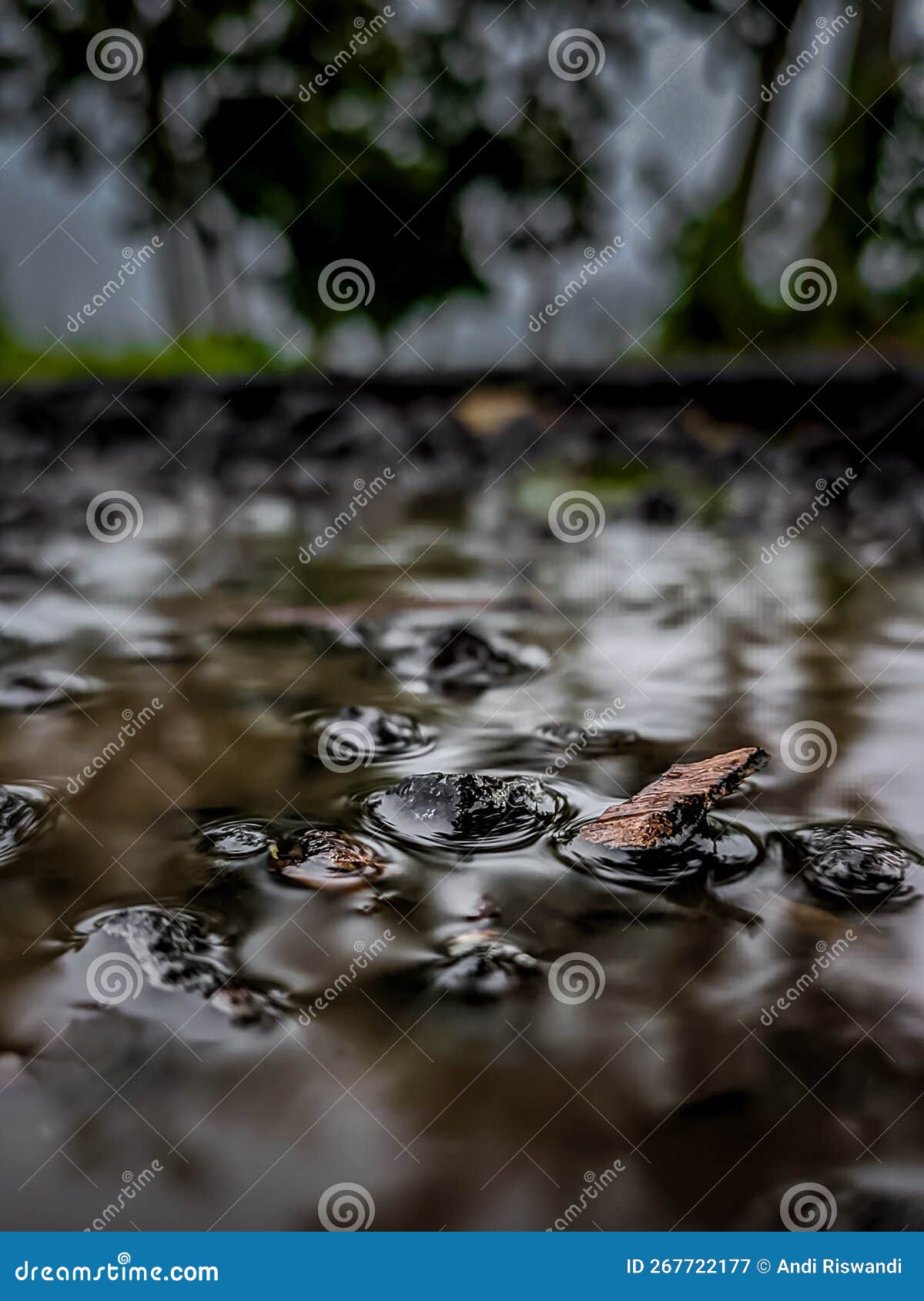 Portrait of Pebbles Rocks Above Puddle after Rain Stock Image - Image ...