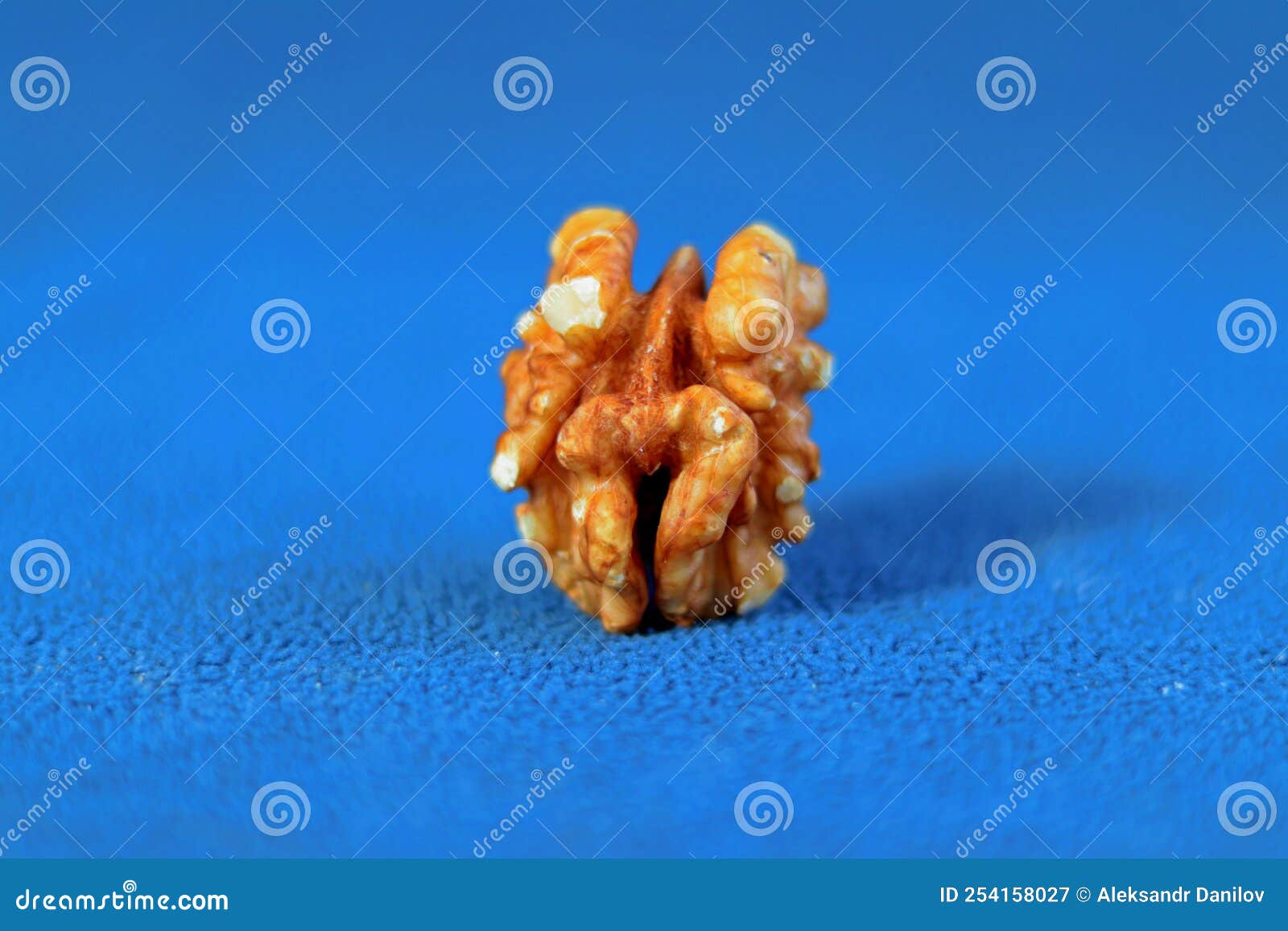 Portrait of a Peeled Walnut Stock Image - Image of dessert, walnut ...