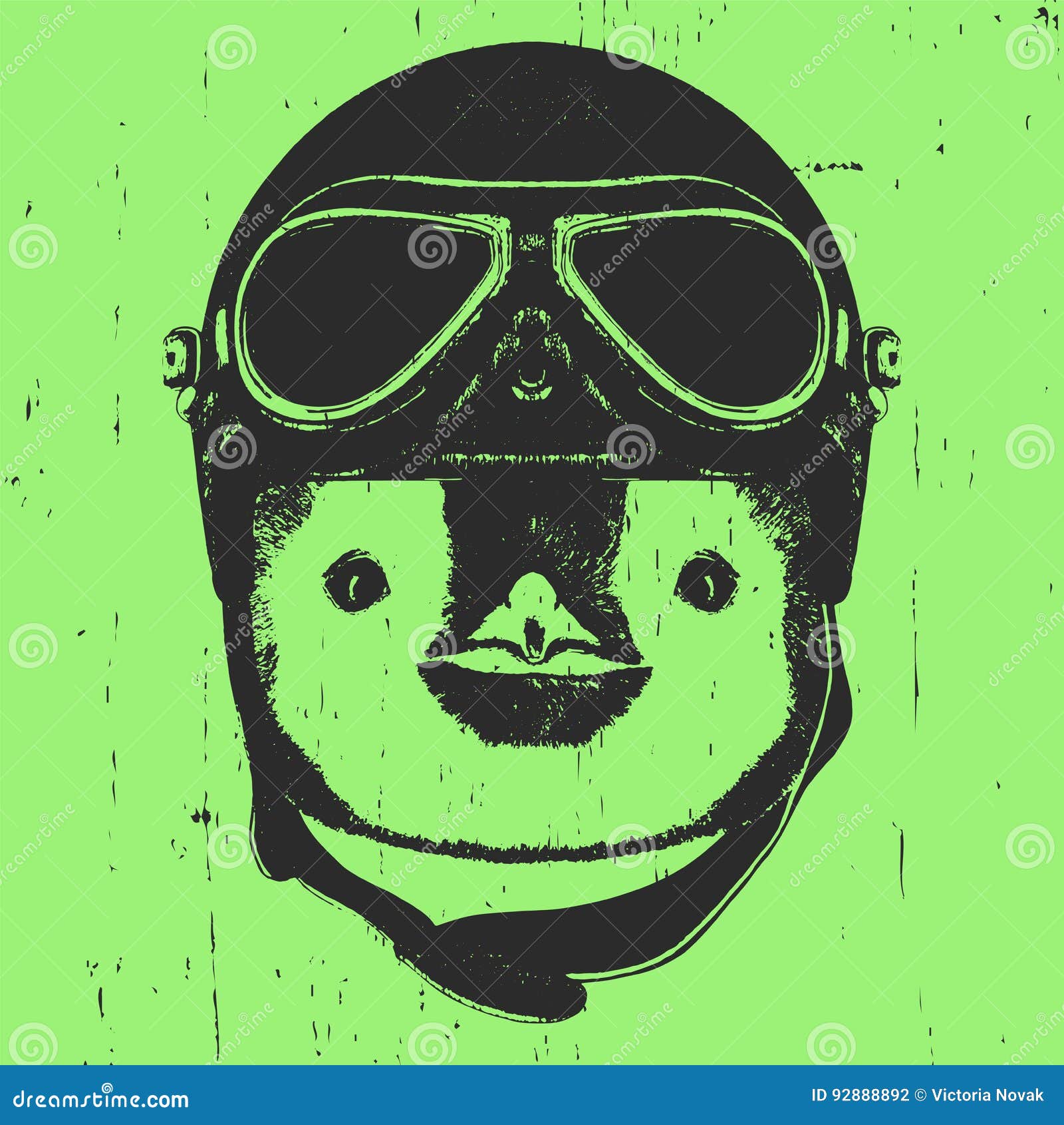 Portrait Penguin Vintage Helmet Stock Illustrations – 6 Portrait ...