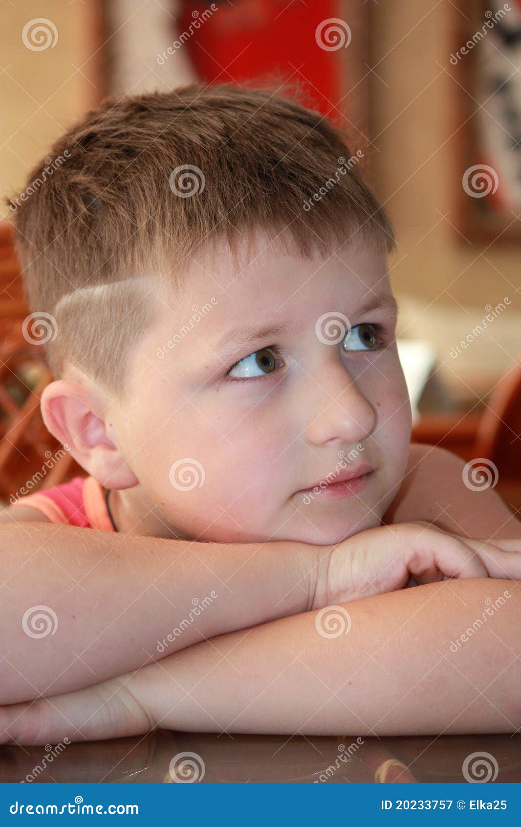Portrait of a Pensive Boy of Seven or Eight Years Stock Image - Image ...