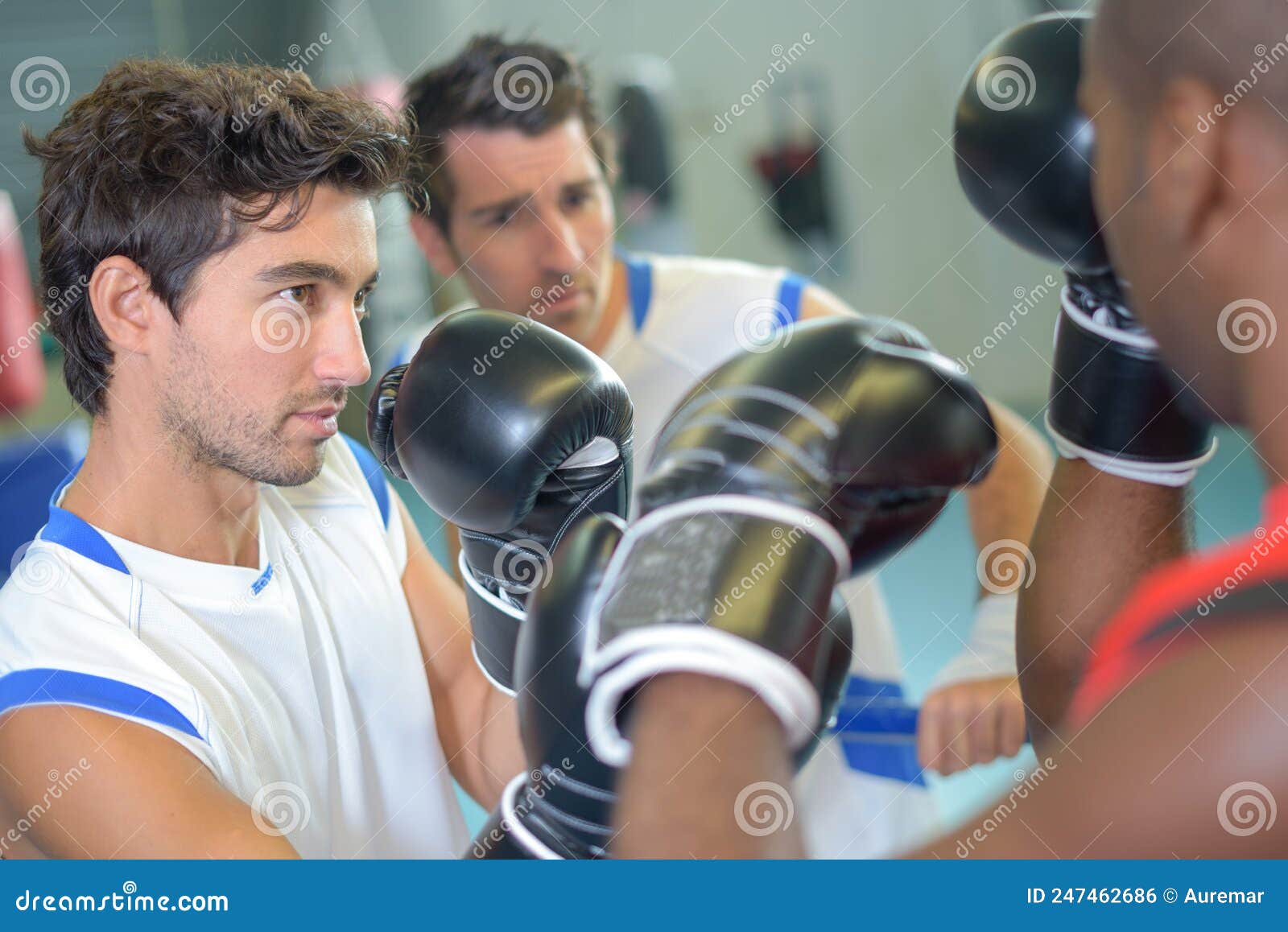 Portrait People during Boxing Practice at Gym Stock Photo - Image of ...