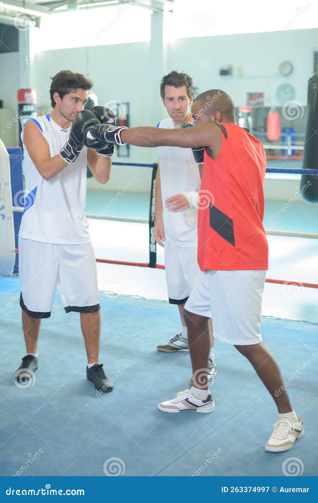 Portrait People during Boxing Practice at Gym Stock Image - Image of ...
