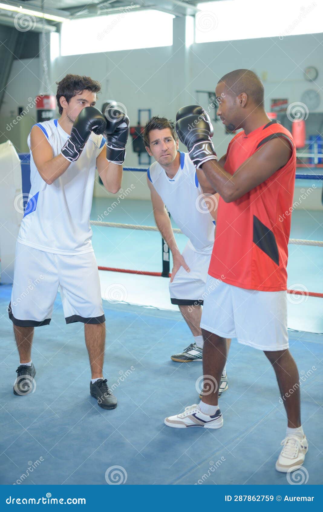 Portrait People during Boxing Practice at Gym Stock Image - Image of ...
