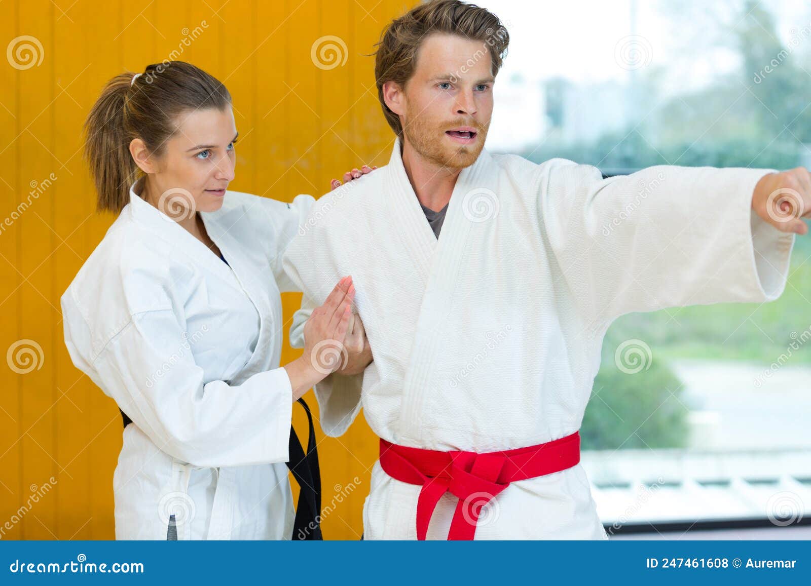 Portrait People and Martial Arts Karate Stock Photo - Image of ...