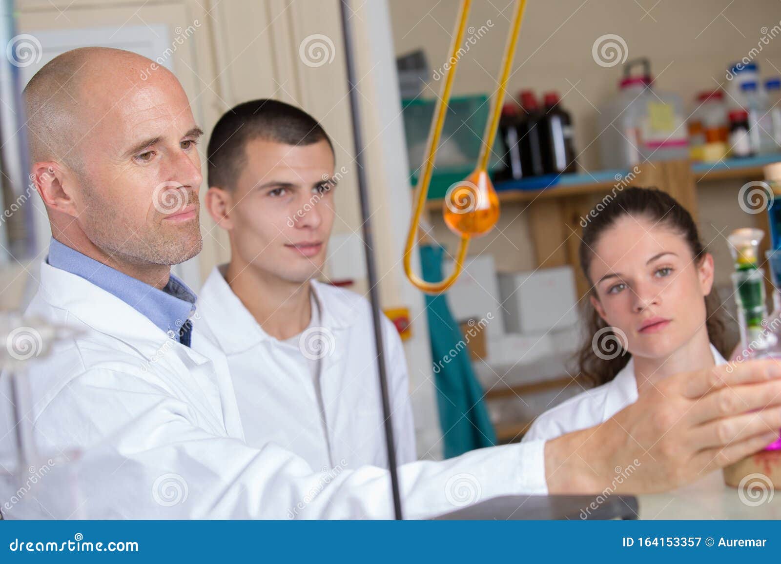 Portrait People and Sciences Studies Stock Image - Image of biology ...