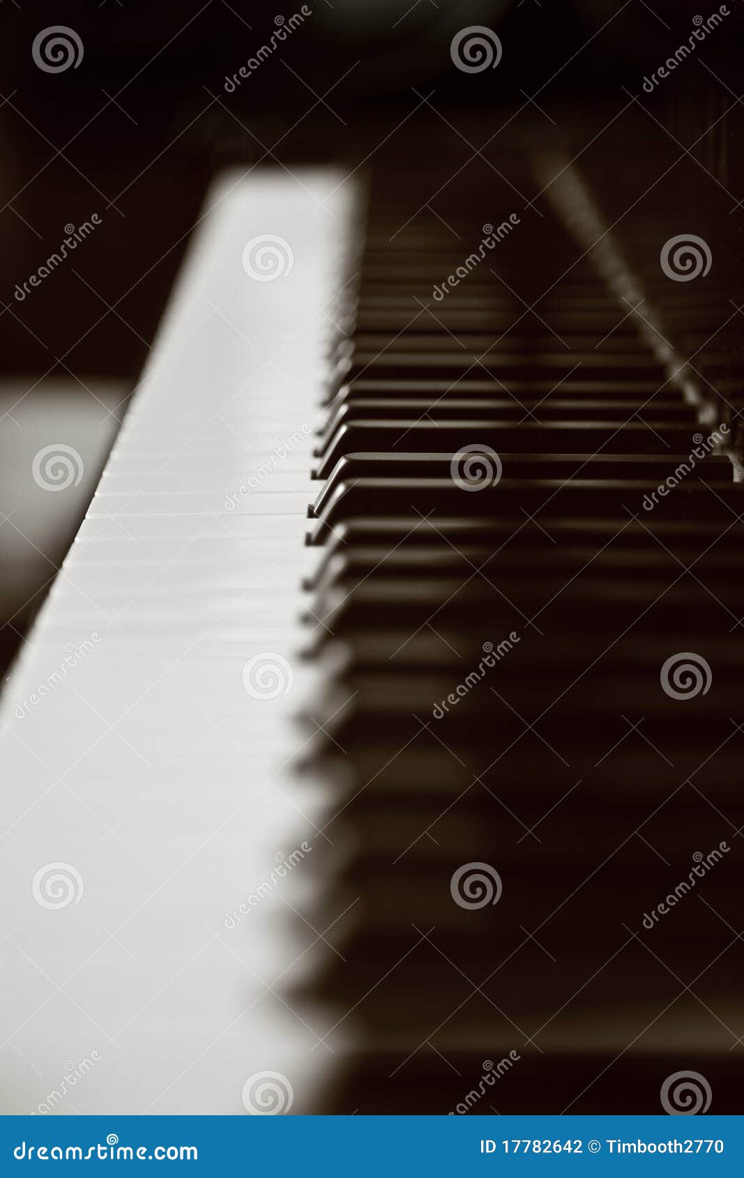 Portrait of a Piano Keyboard Stock Photo - Image of pattern, song: 17782642