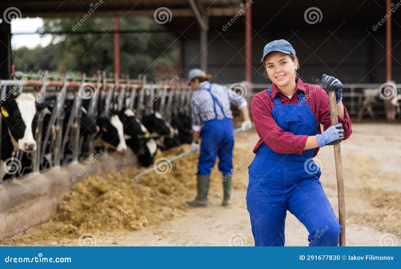 Portrait of Positive Female Farm Worker in Cowshed Stock Photo - Image ...