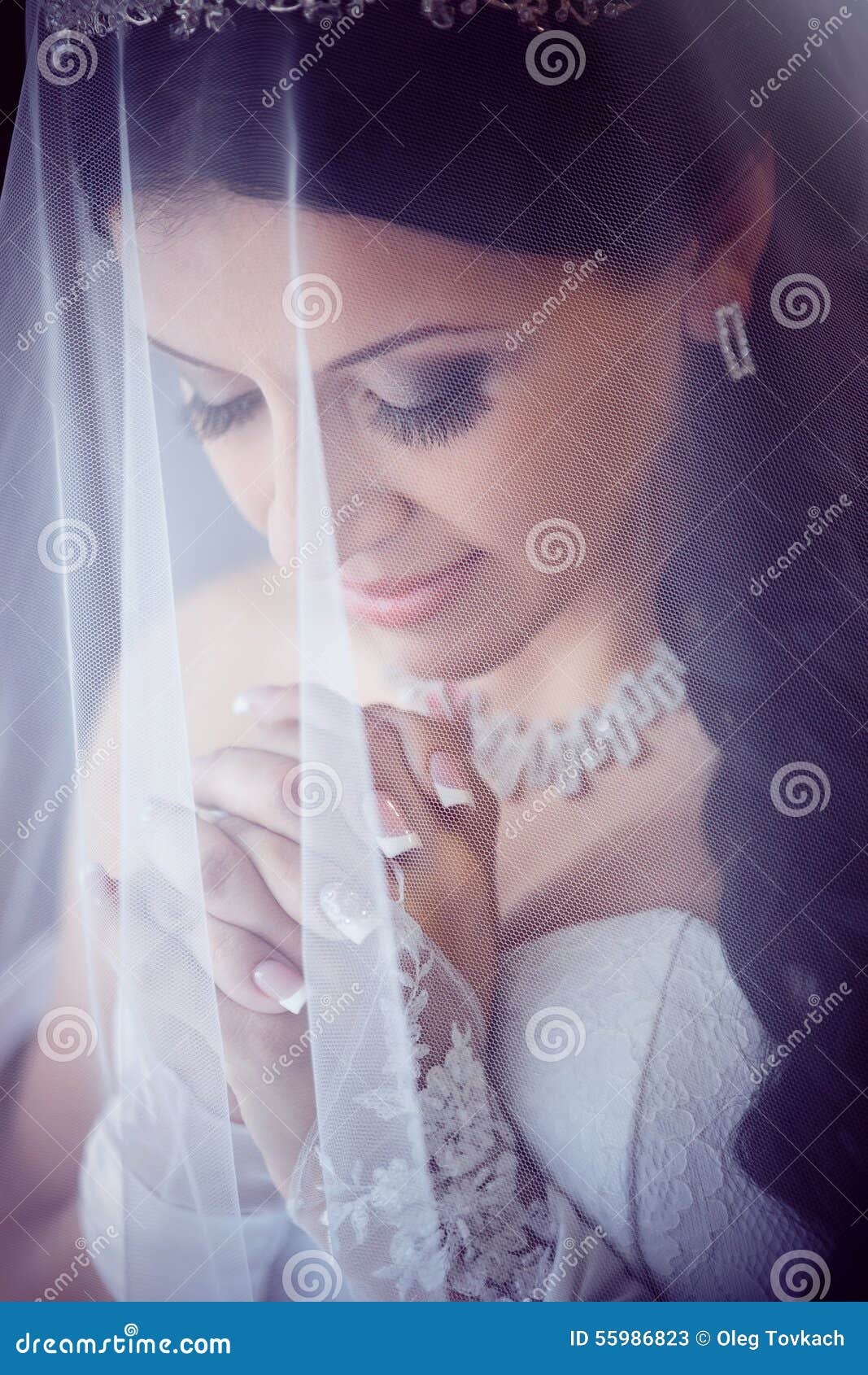 Portrait of Pretty Bride with Veil Stock Image - Image of celebration ...