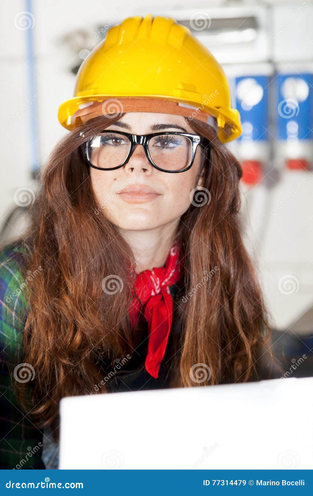 Portrait of Pretty Engineer Consult the Computer Stock Image - Image of ...