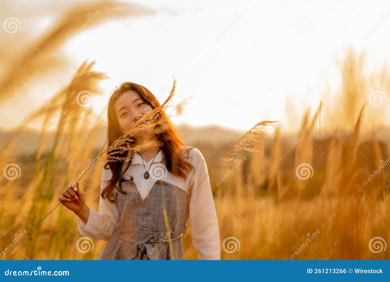 Portrait Of A Pretty Girl Posing In The Pampas Grass Field On A Sunny