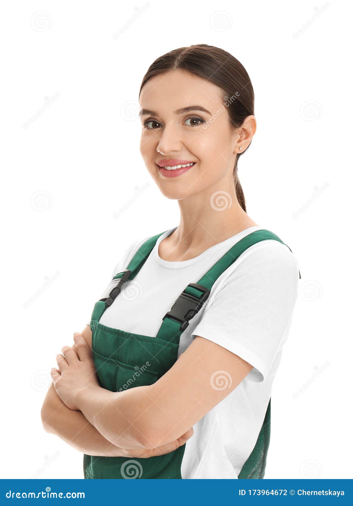 Portrait of Professional Auto Mechanic on Background Stock Photo ...