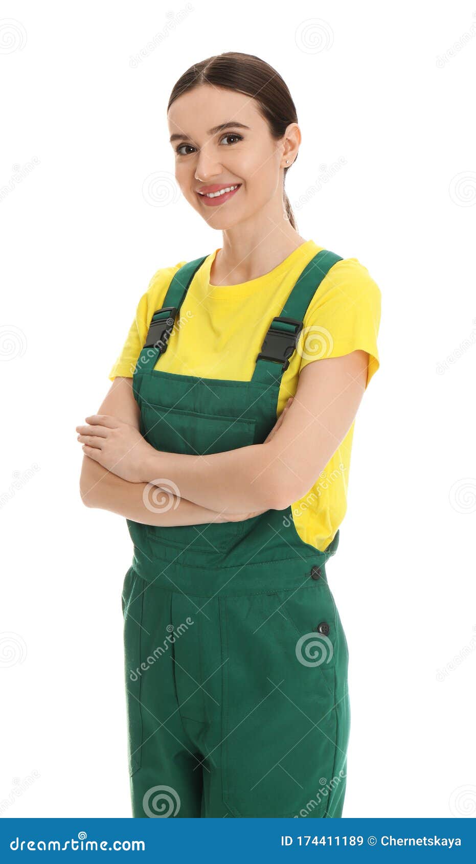 Portrait of Professional Auto Mechanic on Background Stock Image ...