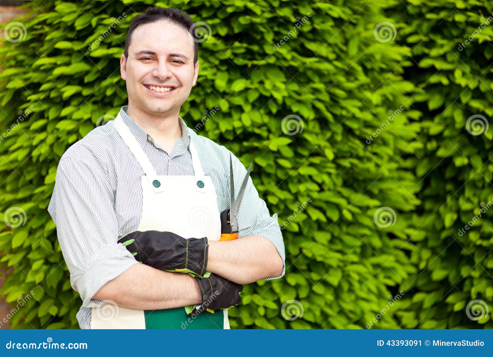 Professional Gardener Planting Flowers In The Park, Detail Of Hands ...