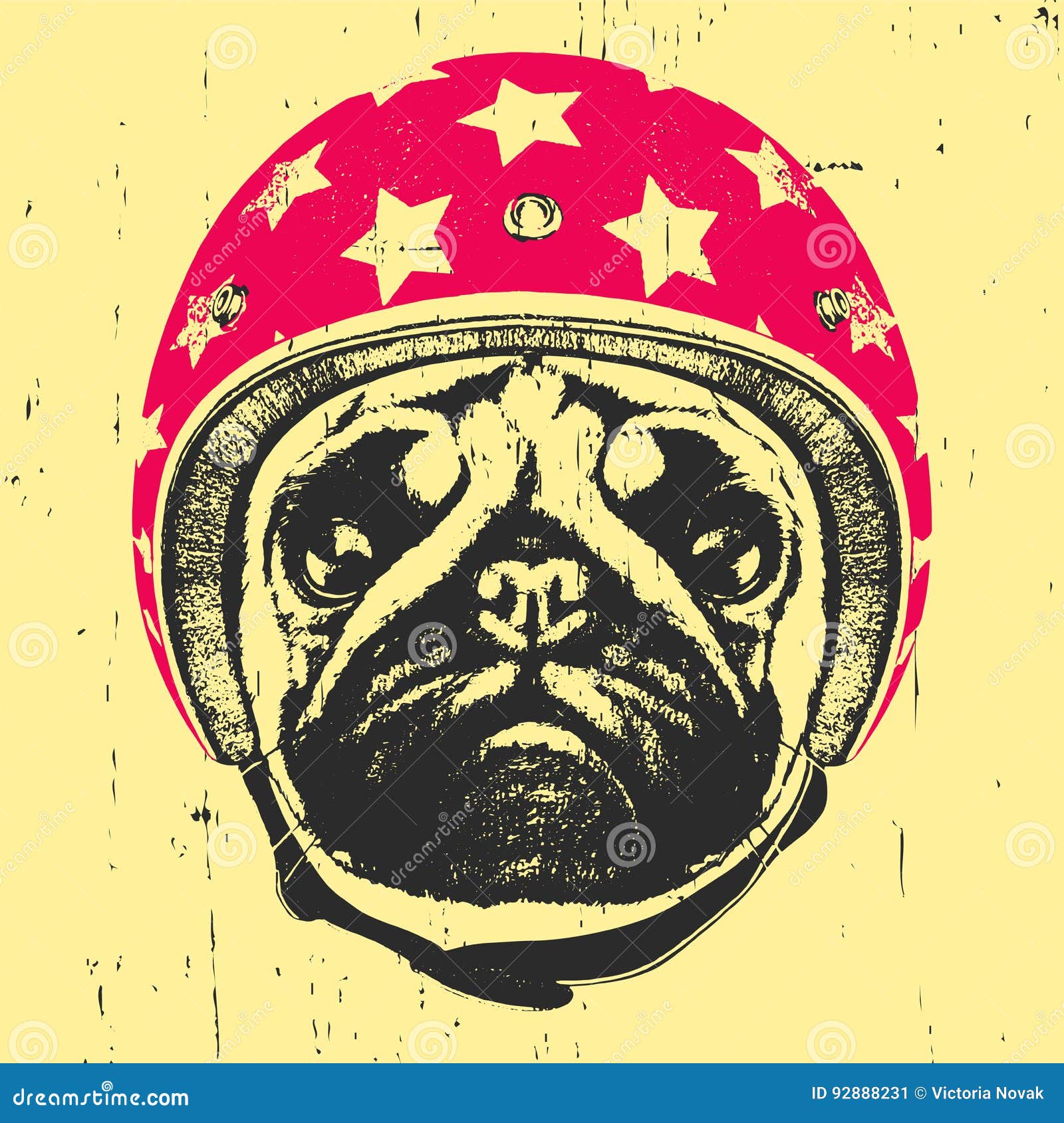 Portrait of Pug Dog with Helmet. Stock Vector - Illustration of helmet ...
